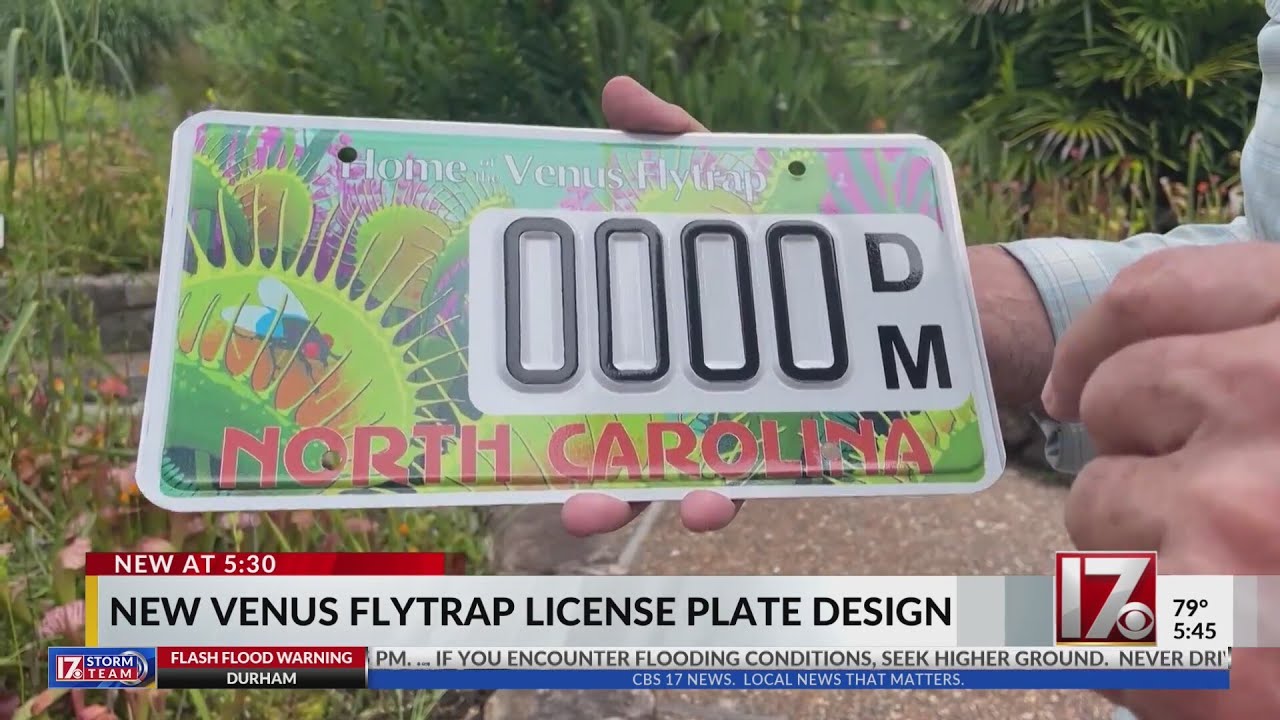 NC’s new ‘Home of the Venus Flytrap’ license plate to honor native ...