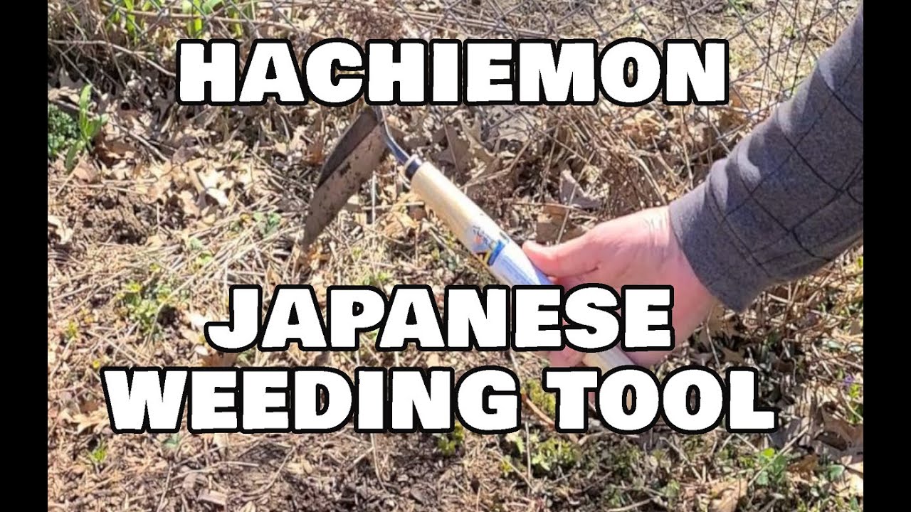 Sharp Edge, Works Great, HACHIEMON Japanese Weeding Tool - YouTube