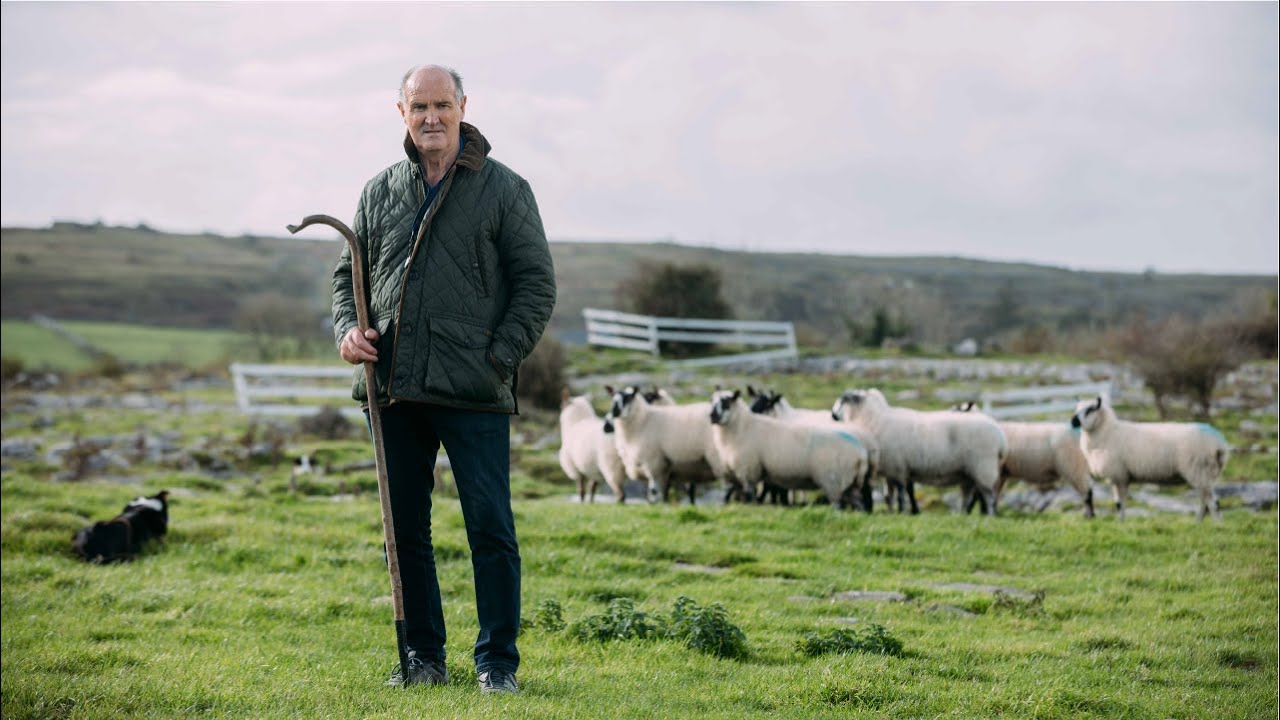 Stories from Digital that Delivers: Caherconnell Stone Fort and ...