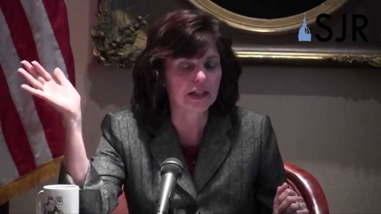 State Rep. Sue Scherer (D), SJ-R editorial board, October 2014 - YouTube