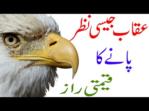 Zarshak Shireen For Weak Eyesight - YouTube