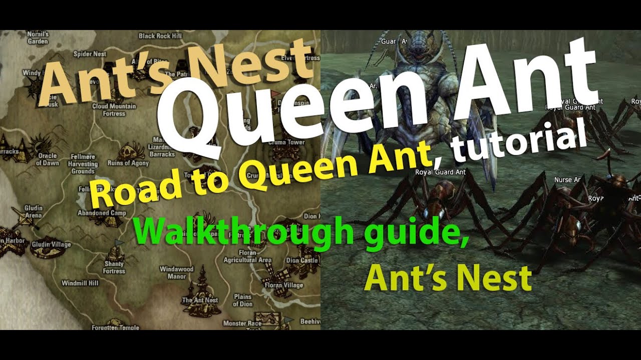 Road to Queen Ant Lv. 40 | Lineage 2 - YouTube