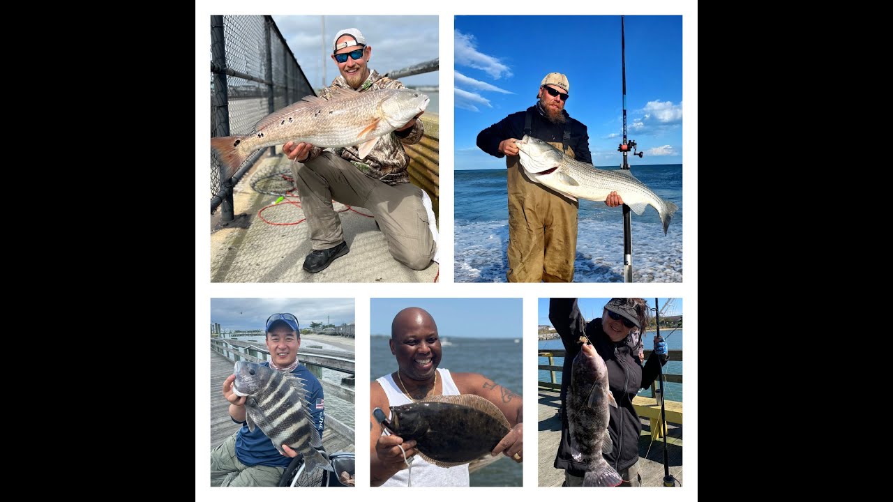 TOP 4- BEST Fishing Spots ON LAND in OCMD!! Plus a few BONUS LOCATIONS ...