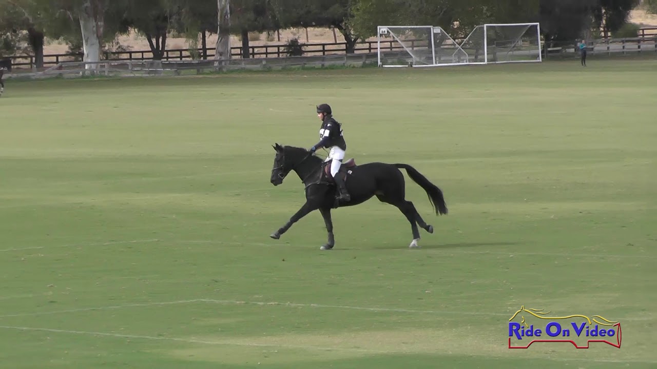 068SC Amaya Davis on Evening Attire Training 3-Day Steeplechase Galway ...