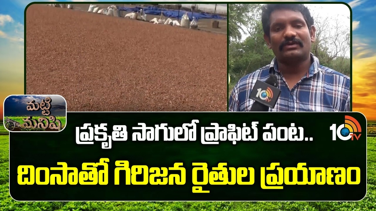 The Journey of Dhimsa Tribal Farmers | ప్రకృతి సాగులో ప్రాఫిట్ పంట ...
