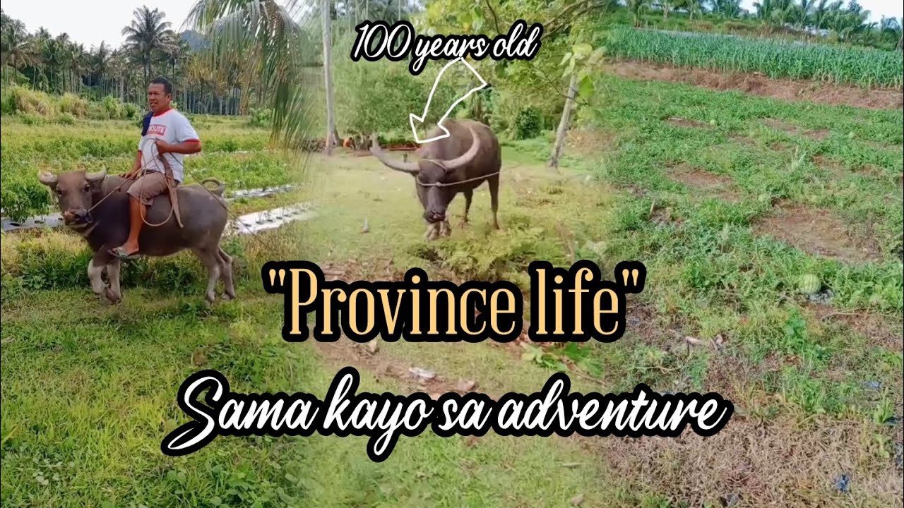 Sama kayo sa adventure! let's go! - YouTube