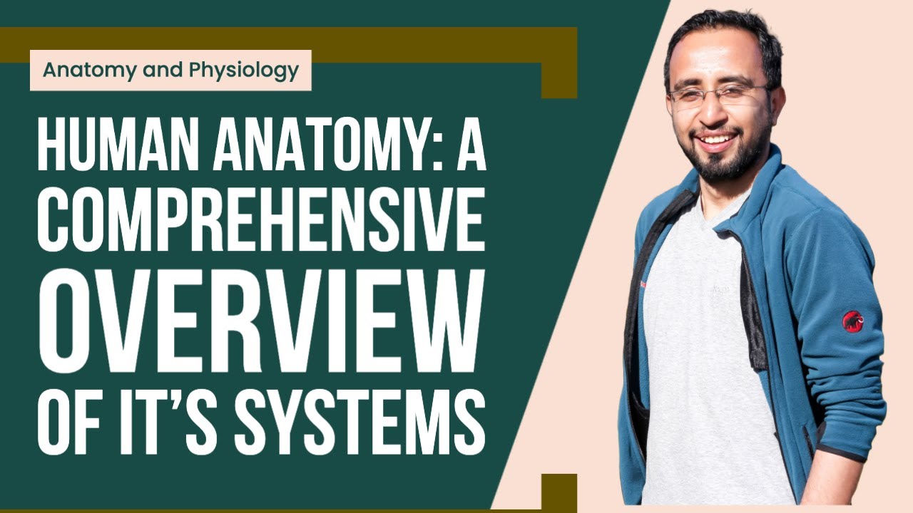 General Introduction to Human Body [ Human Anatomy and Physiology ...