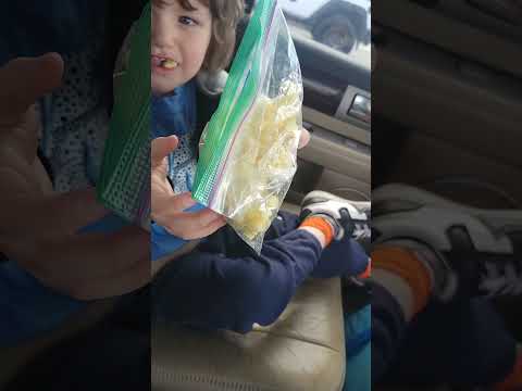 Super FArTS FARTS FARTS EPISODE! CATS GOTS GAS!