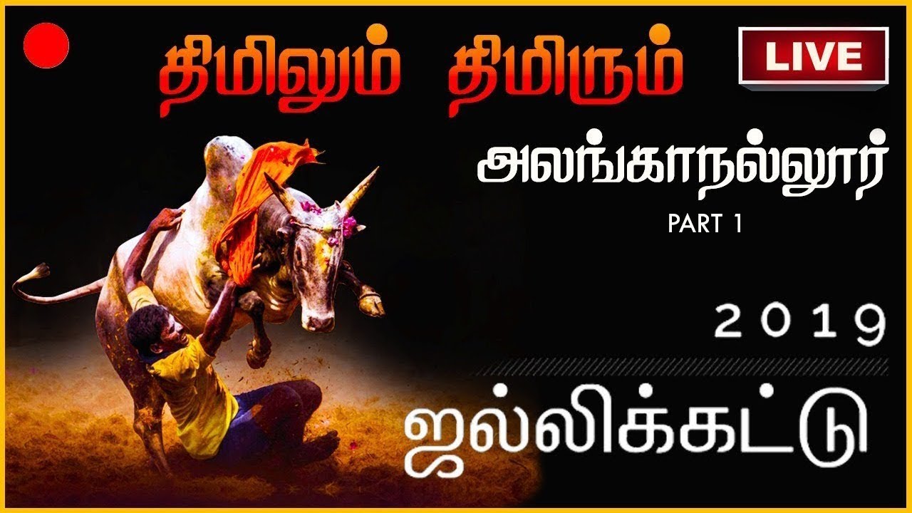 Alanganallur Jallikattu 2019 | Madurai | Part -1 - YouTube