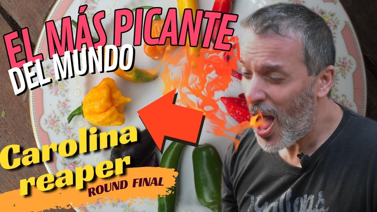 PROBAMOS EL CHILE MÁS PICANTE DEL MUNDO: EL CAROLINA REAPER. Y OTROS 24 ...