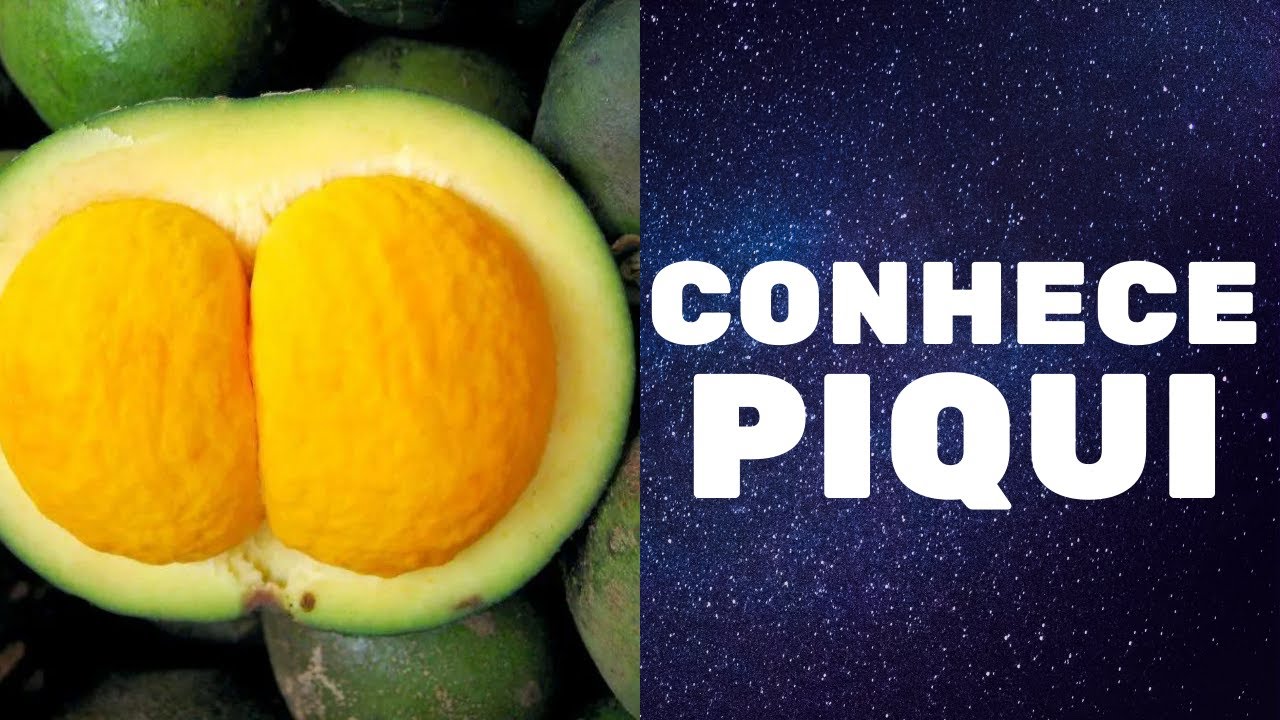 COLENTANDO PIQUI NO CERRADO DO TOCANTINS - YouTube