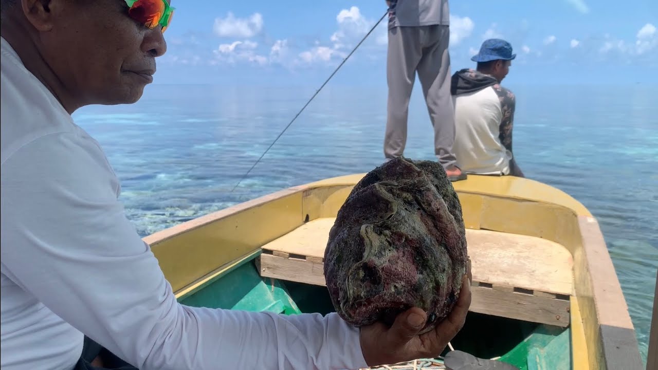 Memancing dengan pemandangan pulau yang indah di semporna,Targett ikan ...