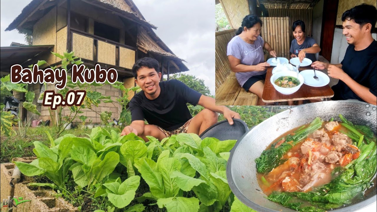 Ep.625- Bahay kubo ep07 nagluto ng kinamatisang manok with mustasa ...