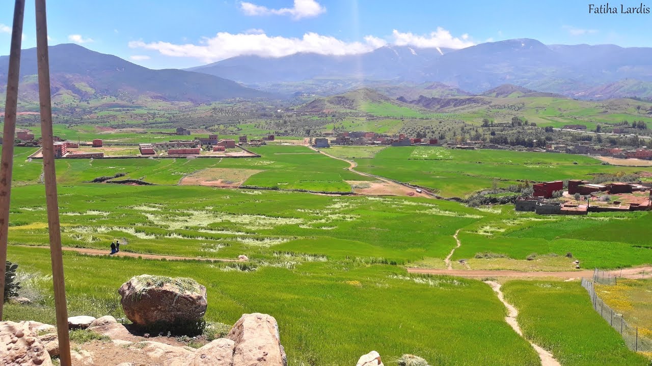 This is Touama - v2 - هــذه هــي التوامـــــة - YouTube