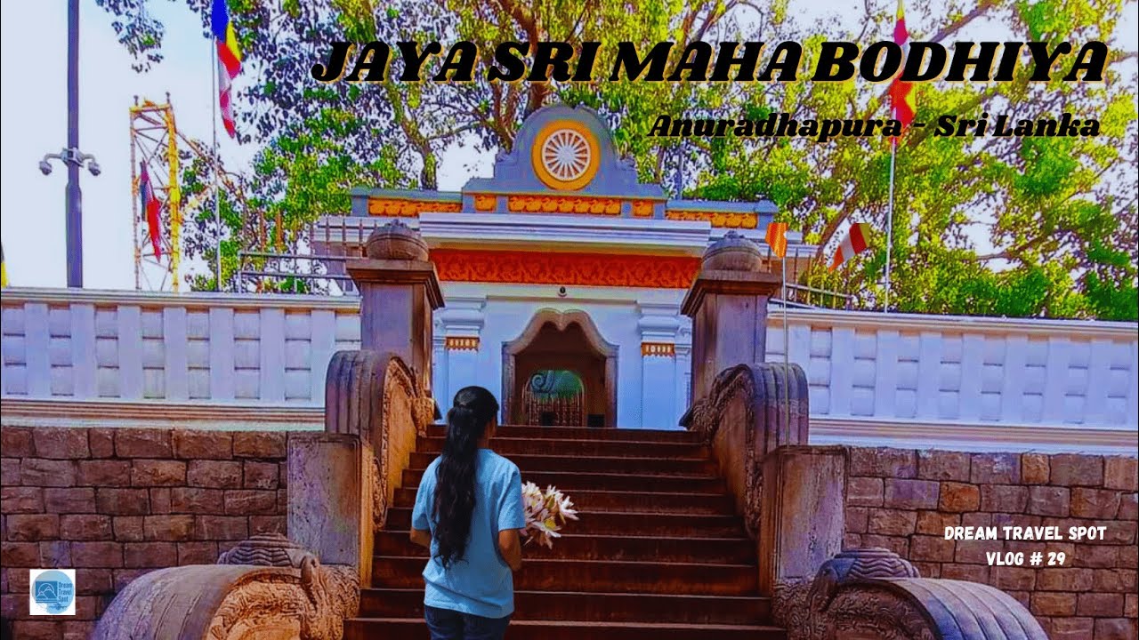 Jaya Sri Maha Bodhiya | A Symbol of Buddhist Heritage | Anuradhapura ...
