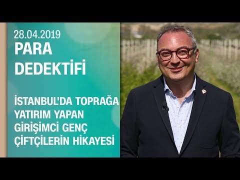 İstanbul'da toprağa yatırım yapan girişimci ve genç çiftçilerin hikayesi - Para Dedektifi 28.04.2019