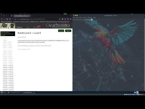 Over the wire - Bandit 4 solution and explanation. Walkthrough