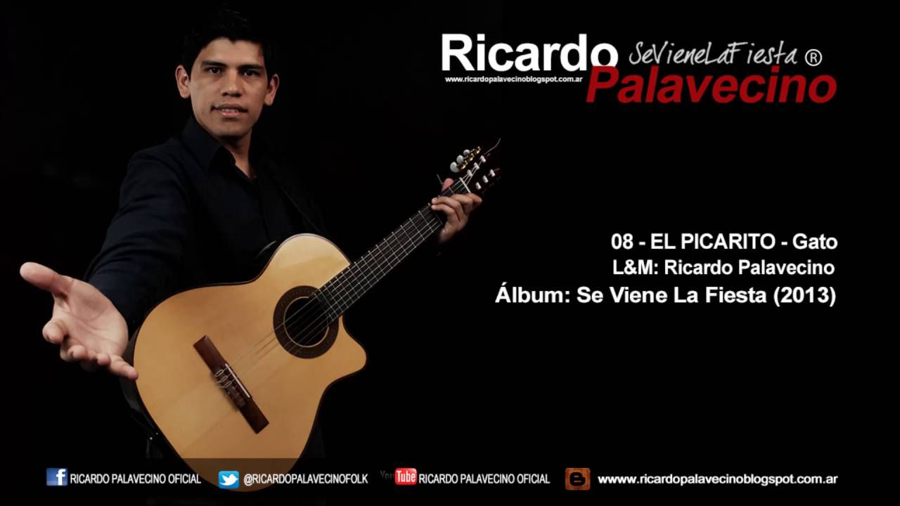 Ricardo Palavecino - El Picarito (Gato) | Se Viene La Fiesta - YouTube