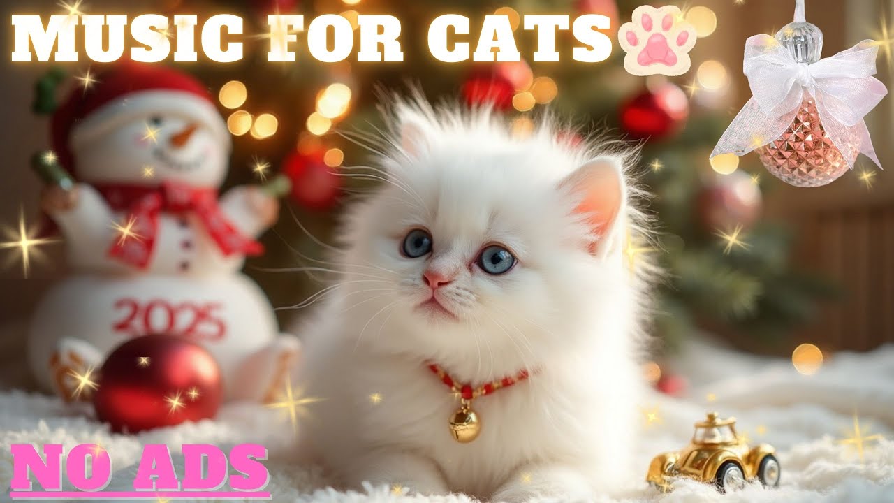 Calming Christmas Music for Deep Relaxation of Cats 🐱💫Video Unlocking ...