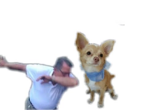 MY DOG CAN DAB!!???!!! - YouTube