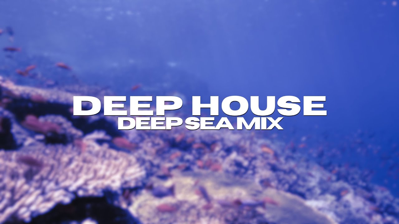 Deep House Mix 2025 | Best Deep House Remixes for Chill Vibes - YouTube