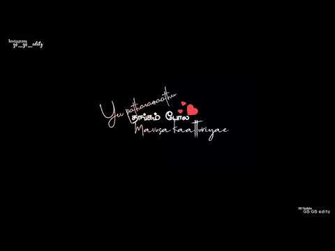 Chithira Masa வெயிலப்போல sootta kelappariyae | Tamil Blackscreen Status | Tamil Love Status