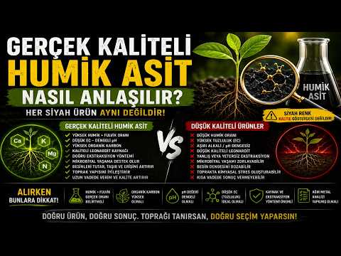 Gerçek Kaliteli Humik Asit Nasıl Anlaşılır?