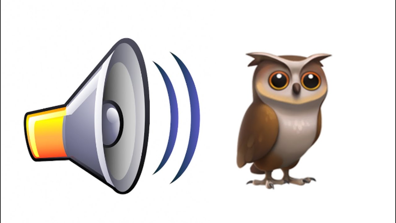 Owl - Sound Effect (HD) - YouTube