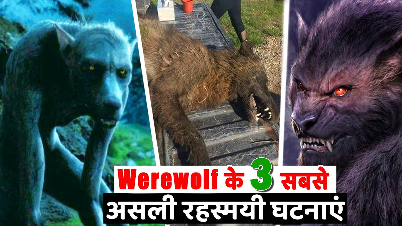 ये है असली Werewolf के 3 सबसे सीक्रेट घटनाएं | 3 Strong Proof that ...