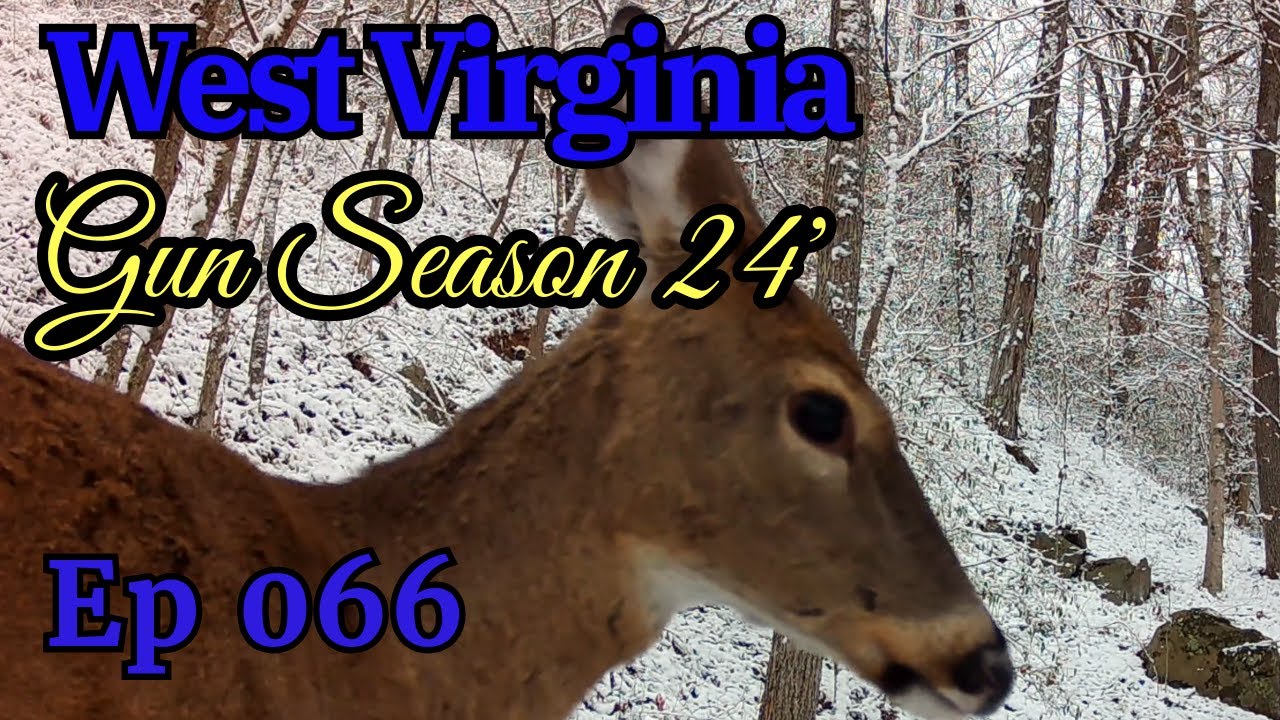 Gun Season 24' in WV West Virginia Wildlife Episode 066 - YouTube