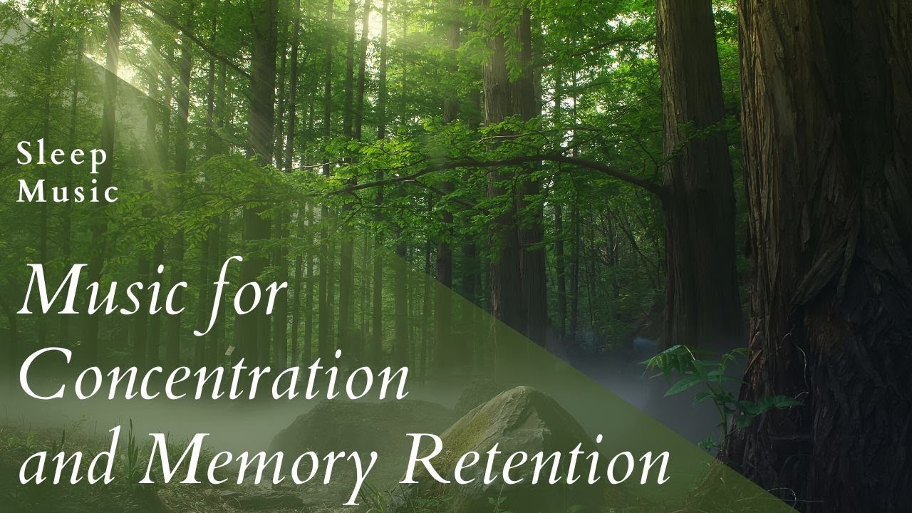 Study Music - 1 Hour Mix of Music for Concentration and Memory ...