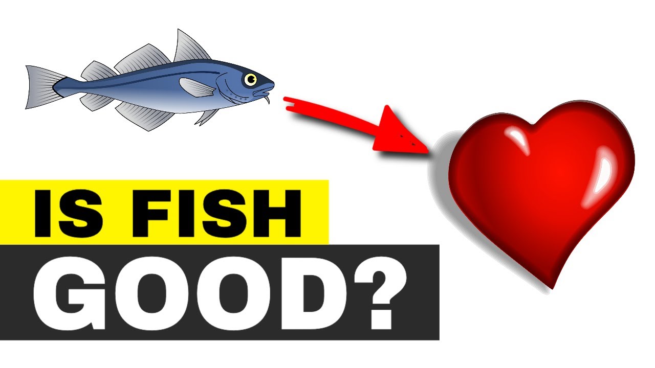 Is Fish Good for Cholesterol? | High Cholesterol Fish to AVOID! - YouTube