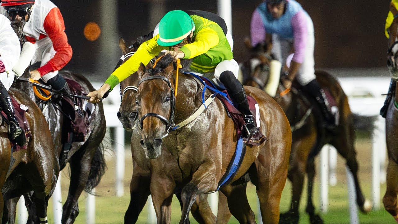 RM 4 Al Rayyan Race 6 - Sealine Cup - YouTube