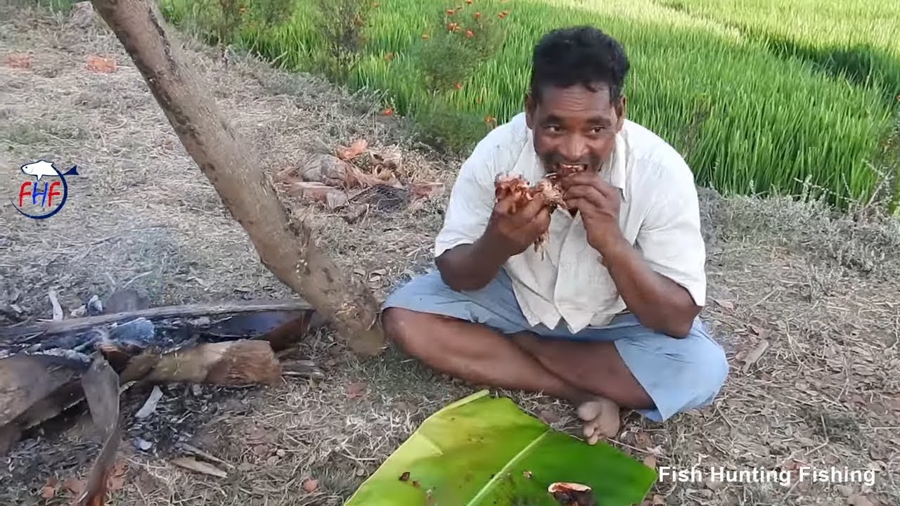 Fish Hunting Fishing and Giant CatFish Barbecue Fish as food Farm Field ...