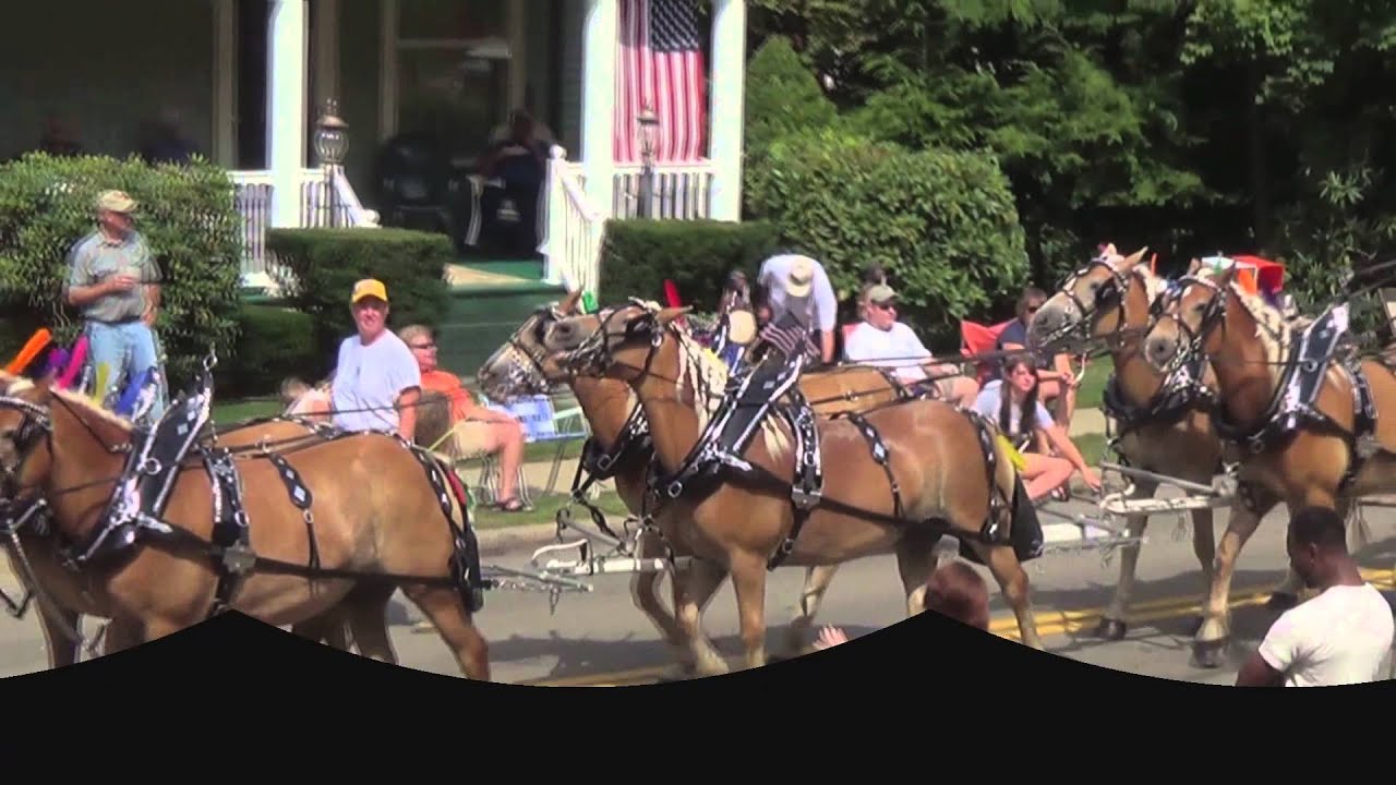 Forest County Promo - YouTube