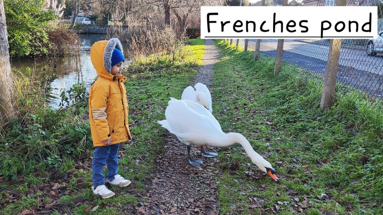 Frenches pond Vlog | Beautiful Redhill | Countryside | AONB |Surrey ...