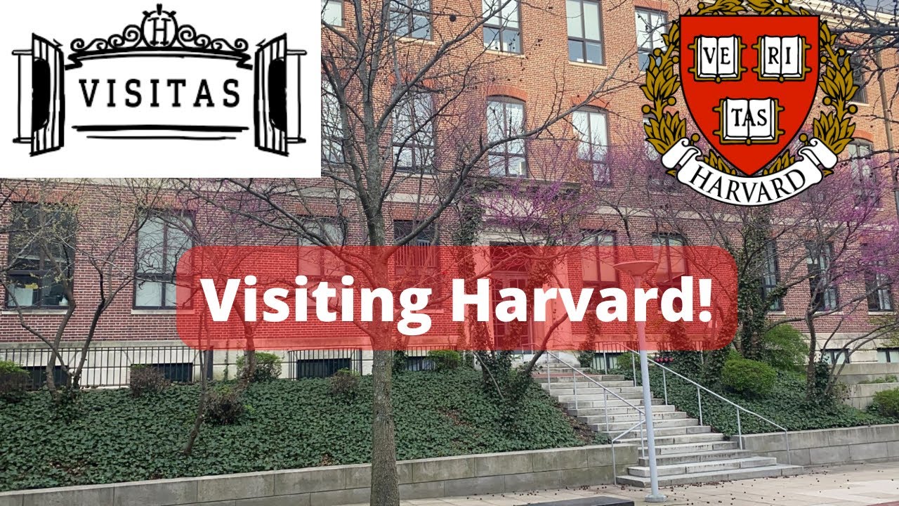 Harvard Visitas 2022 - YouTube