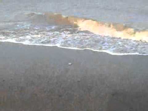 Constructive Waves - YouTube