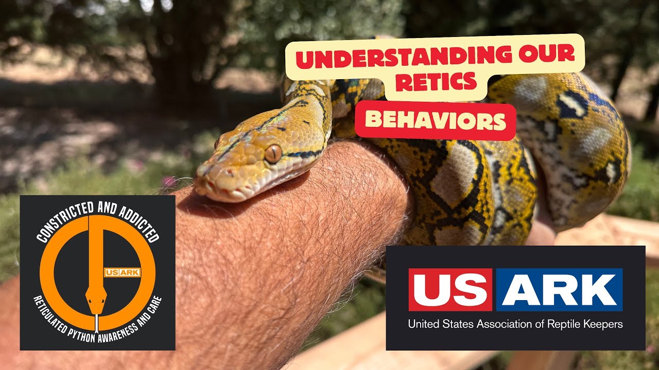 Understanding our Retics Behaviors - YouTube