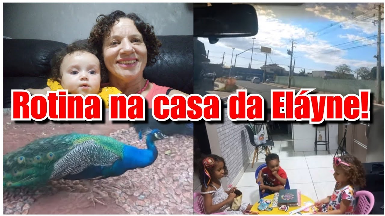 Olha O Que Eu Trouxe Para Os Netos Fomos No Parque IngÁ Vlogão Youtube