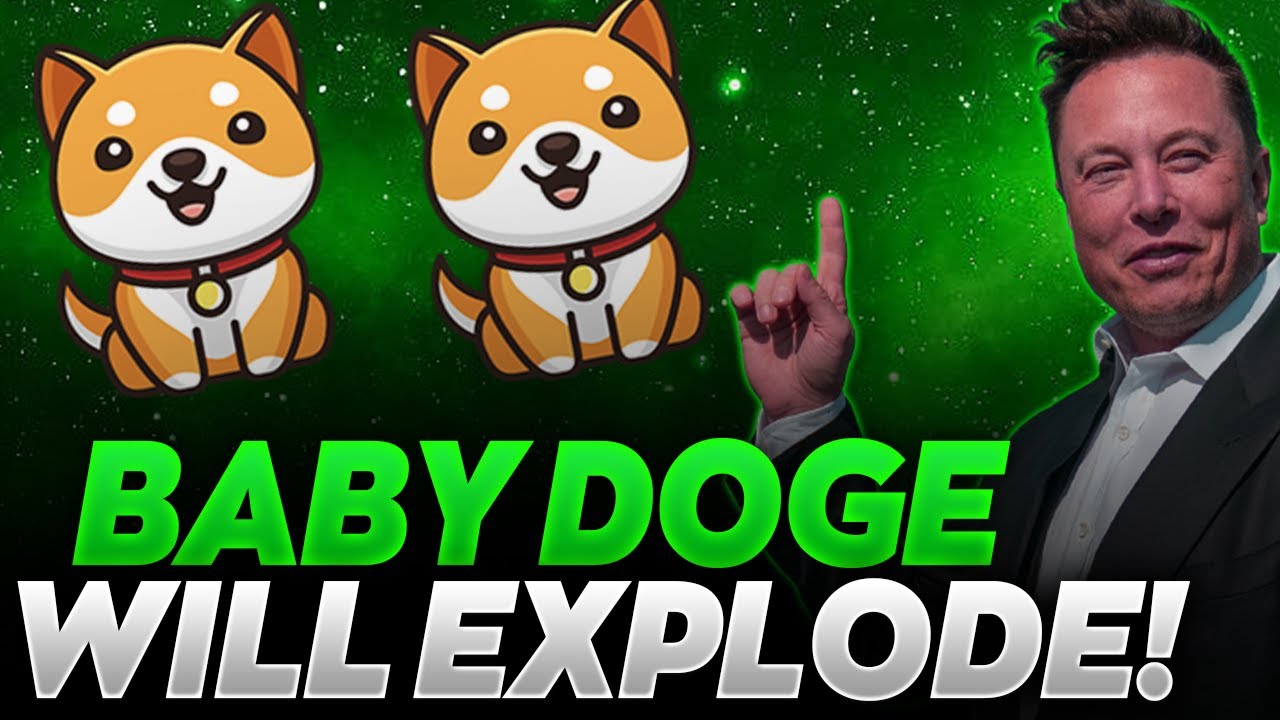 Baby doge Massive News Today - Baby Doge Will Explode Soon! Baby doge ...