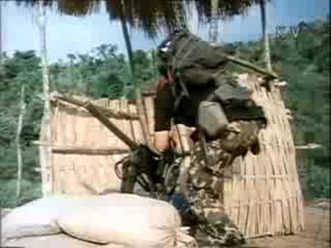 Wild Cats Attack! clip 1 - YouTube