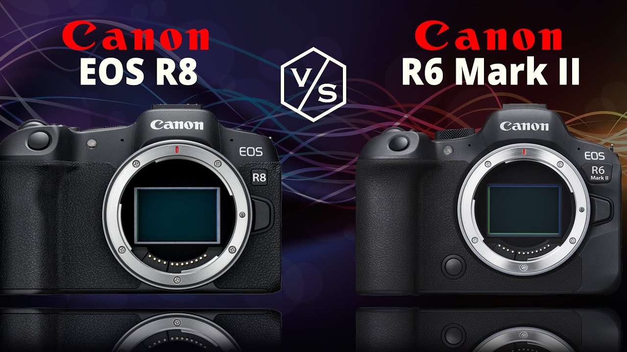 Canon EOS R8 vs Canon EOS R6 Mark II - YouTube