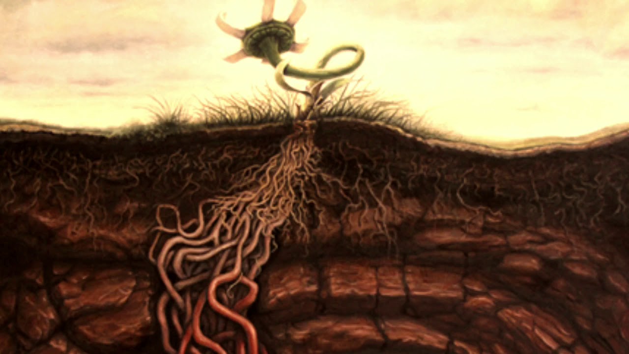 Reverie- Arca (FEMALE VERSION) - YouTube