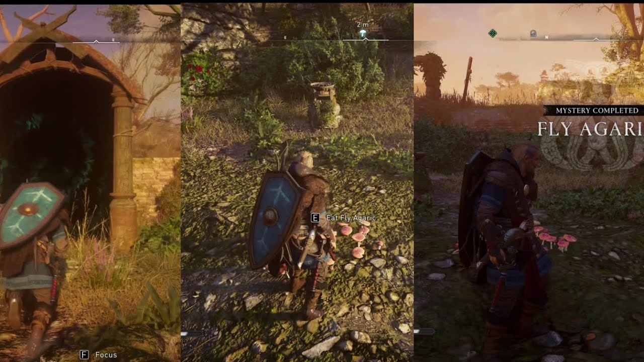 Magic mushrooms in Assassin's creed valhalla. Fly Agaric mission guide ...