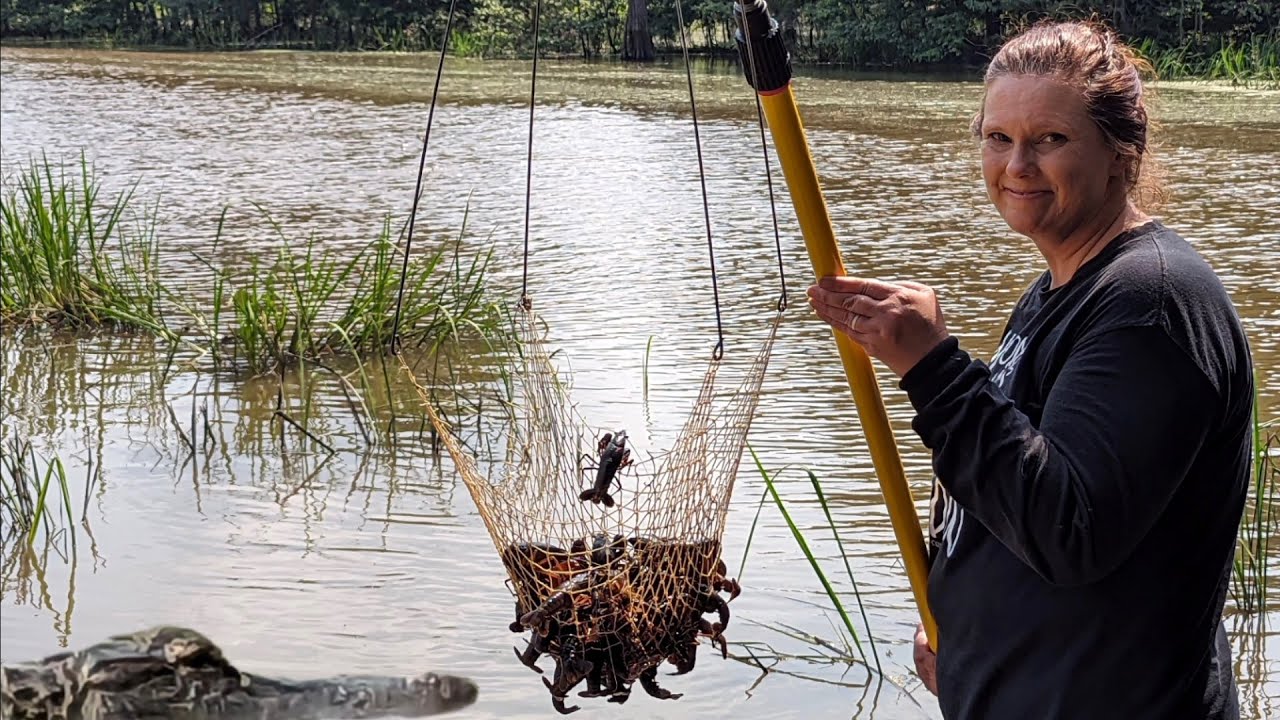 WILD Louisiana Crawfish In A Public Land ROAD DITCH, With "BAYOU BELLE ...
