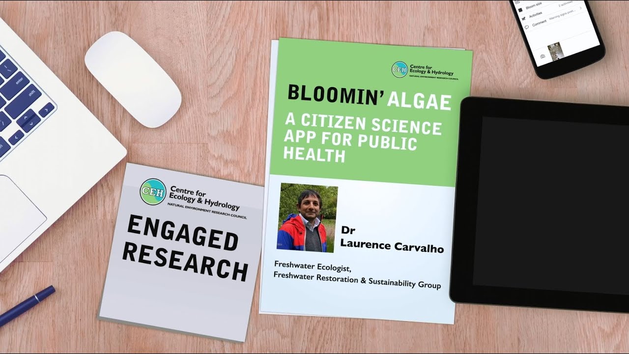 Engaged research: Bloomin' Algae, a citizen science app for public ...