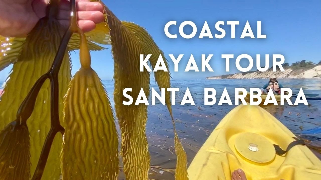 Coastal Kayaking Tour - Santa Barbara Adventure Co - Golita - Haskell ...