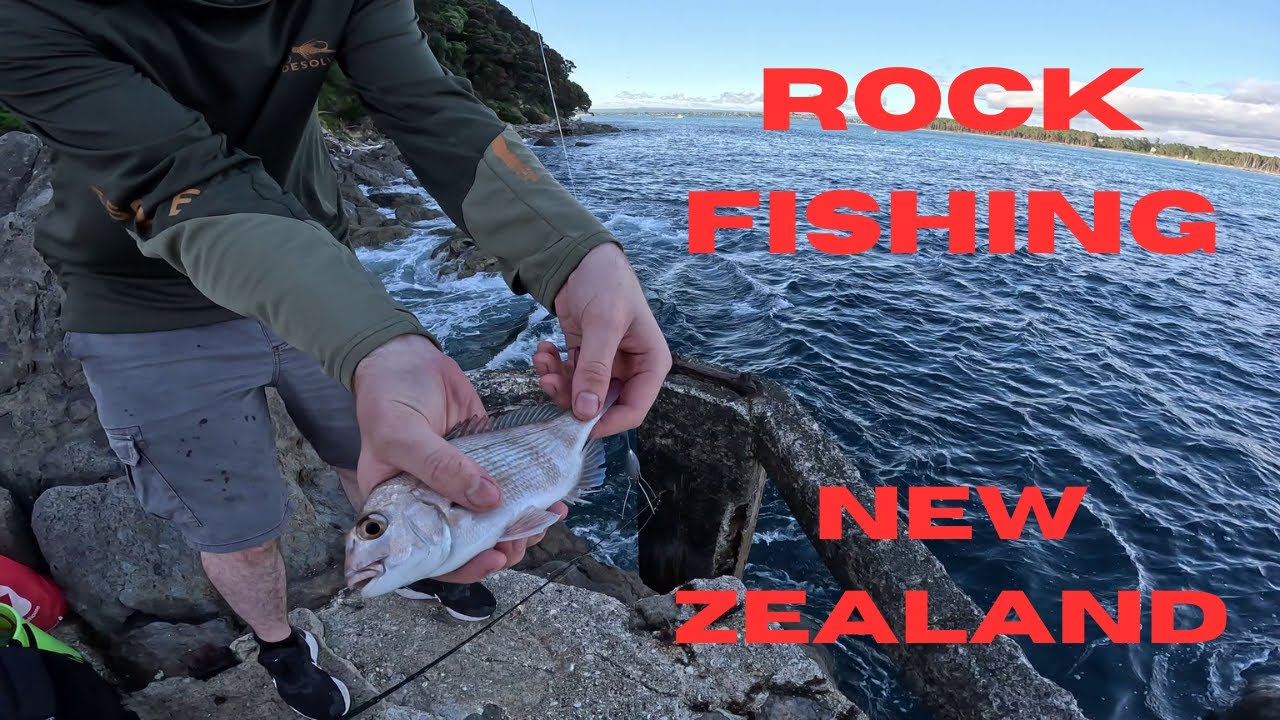 Rock Fishing New Zealand On Stunning Mount Maunganui - YouTube