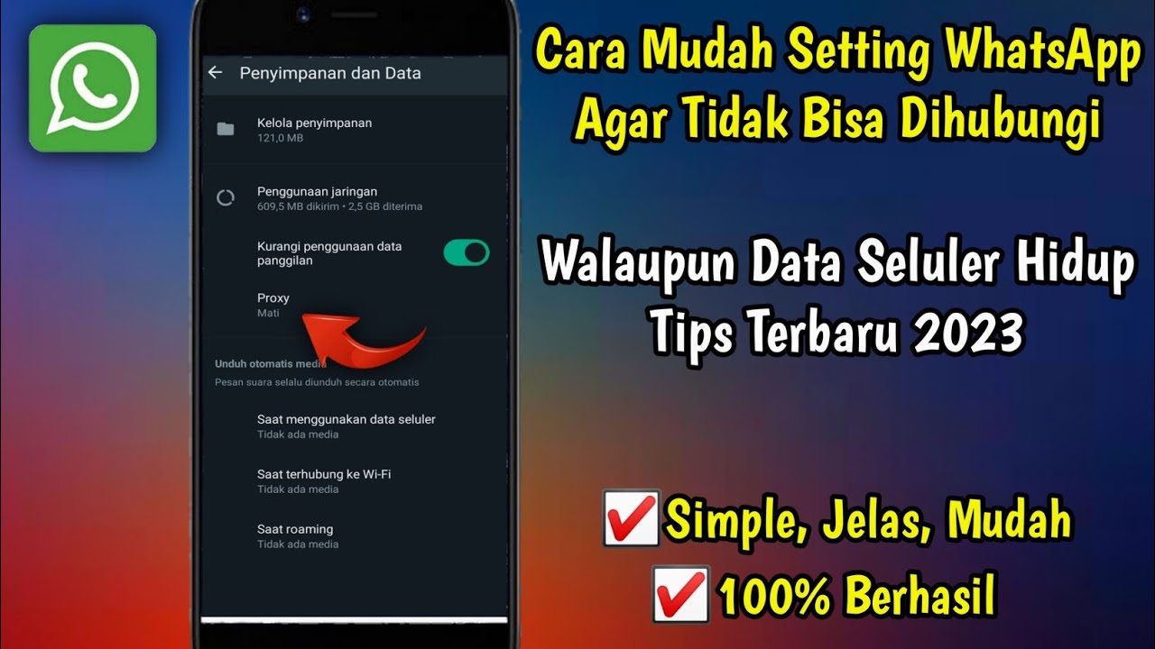 Cara Setting WA Agar Tidak Bisa Dihubungi Padahal Data Seluler Hidup ...